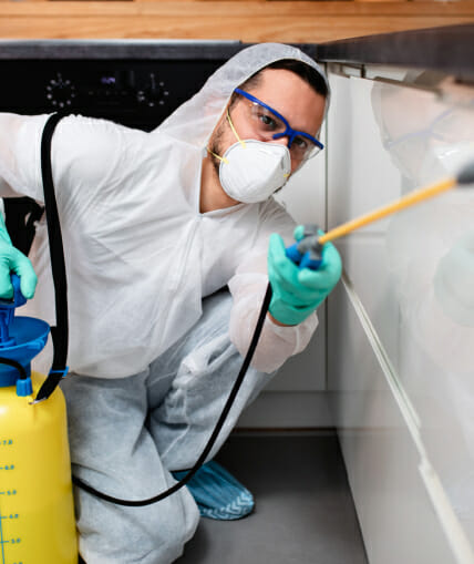 Four Season Pest Control Program | Jamison Pest And Lawn