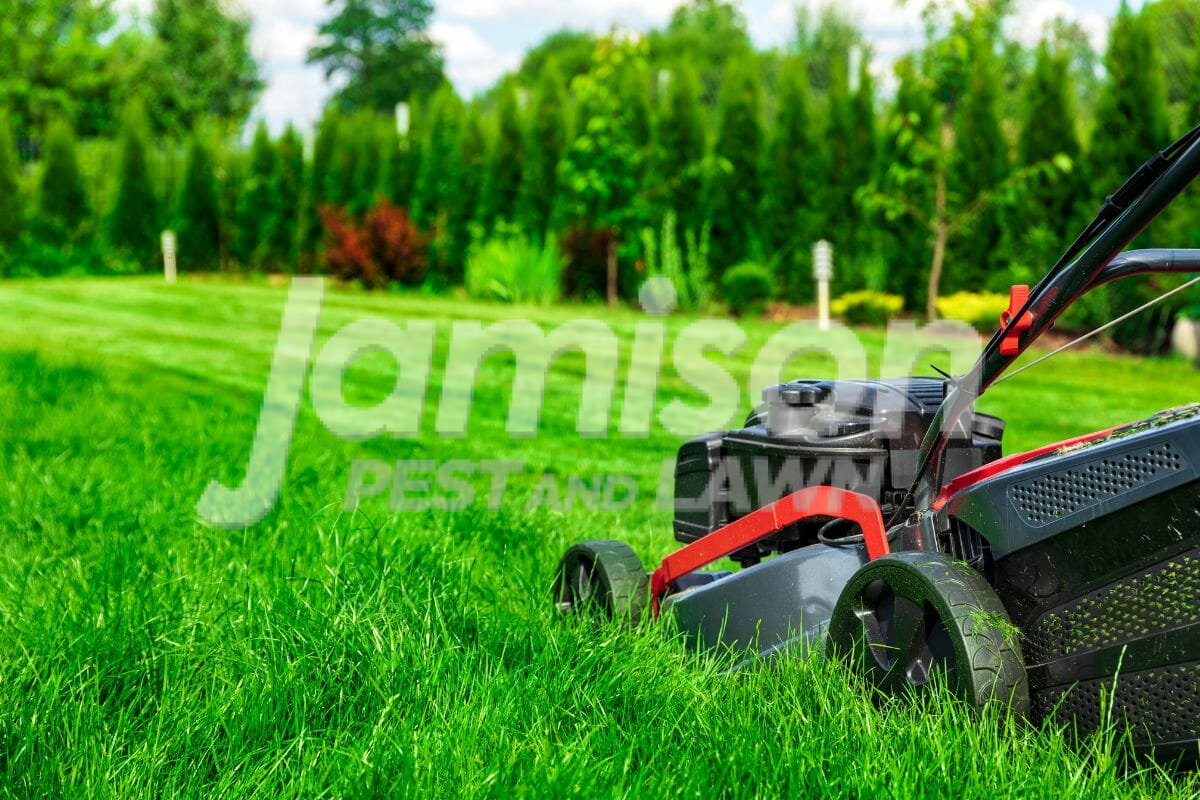 How Are Lawns And Climate Change Related?
