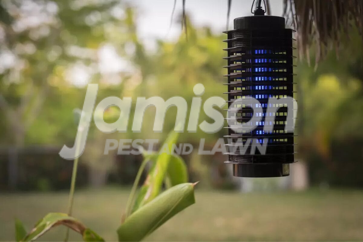 Best Mosquito Traps To Keep Your Home Safe In 2026