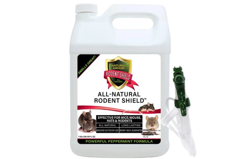 7 Rodent Repellents Of 2025 (That Actually Works)