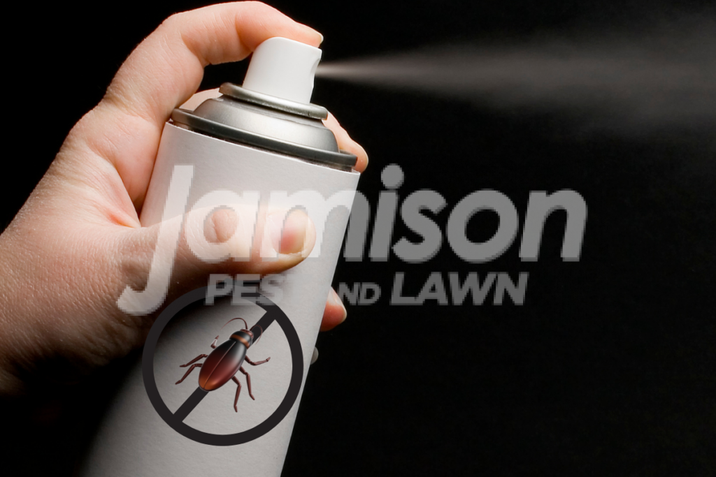 How To Get Rid Of German Roaches Overnight