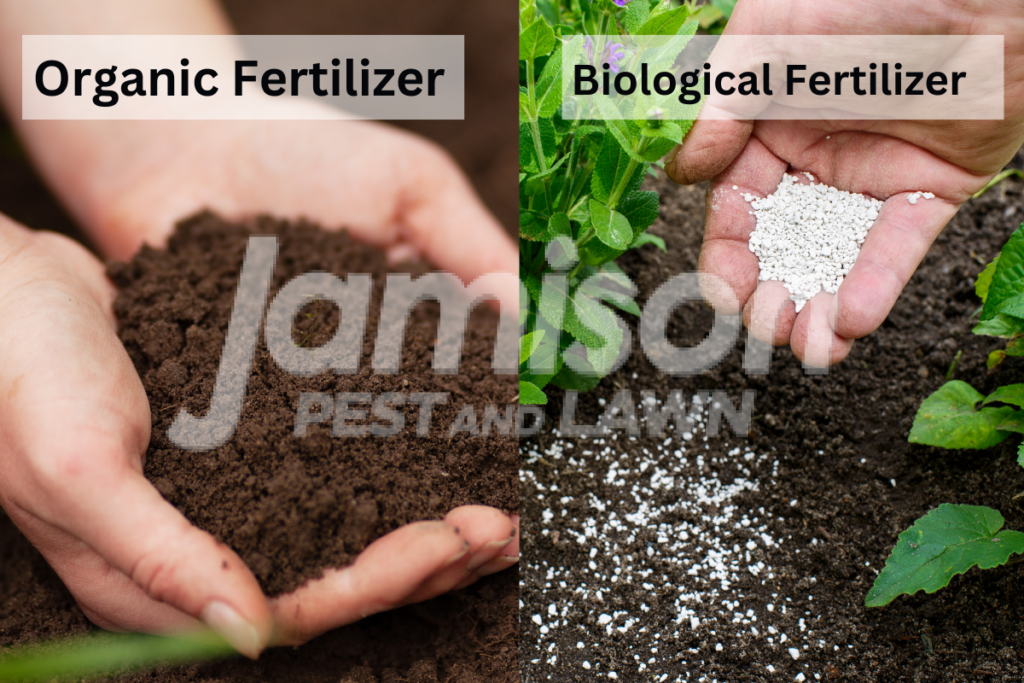Benefits Of Biological Fertilizer For Your Lawn